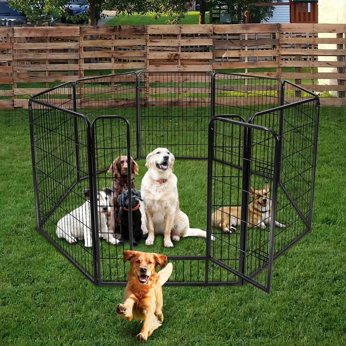 ZENY™ Pet Dog Playpen Foldable Metal Exercise 8 Panel Design for for S ...