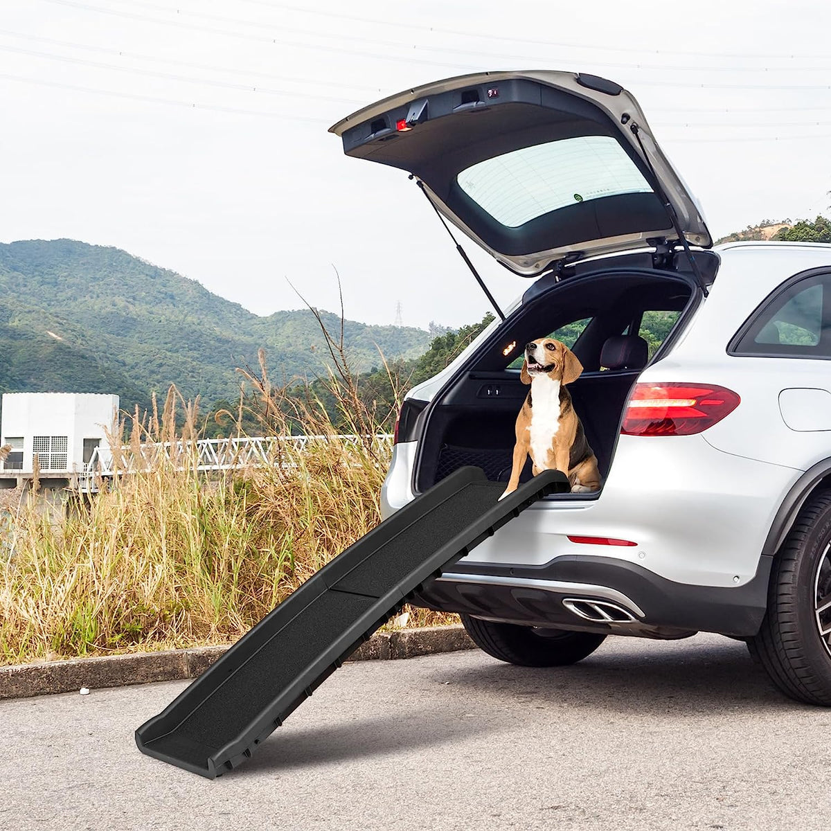 ZENY™ Portable Folding Dog Ramps for SUV, Truck, Car Ramp Stairs Step ...