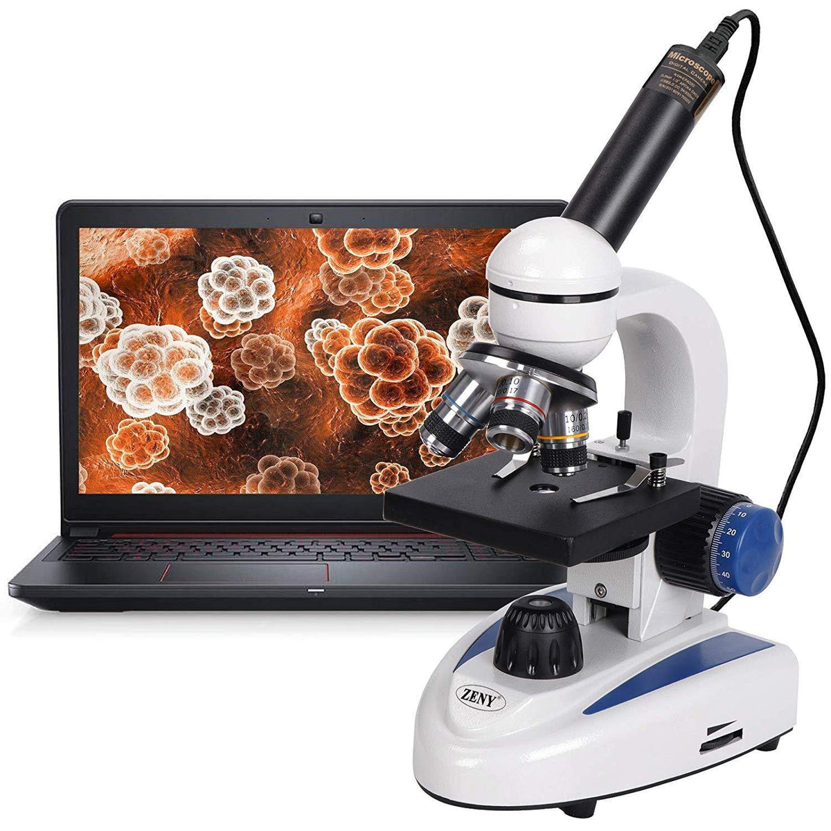 ZENY™ 40x -1000x Magnification Microscope w/ USB Digital Camera – ZENY ...